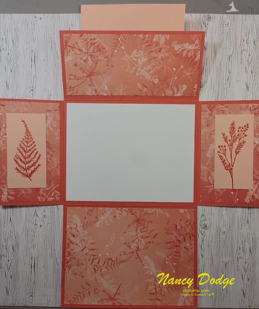 Mystery Card - Multi-Flap Fold Card - YB Stamp